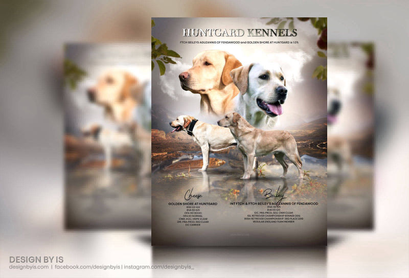 GRAPHIC DESIGN FOR BREEDERS. DOG LOGOS. CANINE WEBSITES